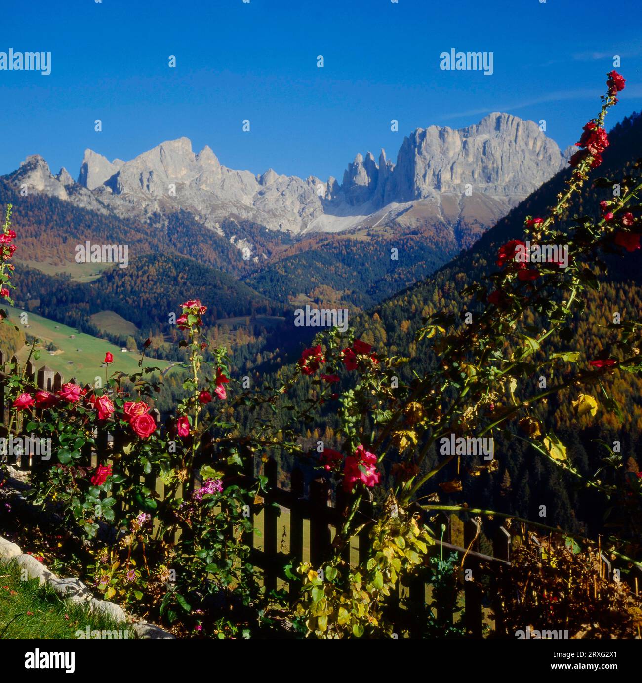 Autumn in St. Cyprian in the Tiers valley, above the rose garden with ...