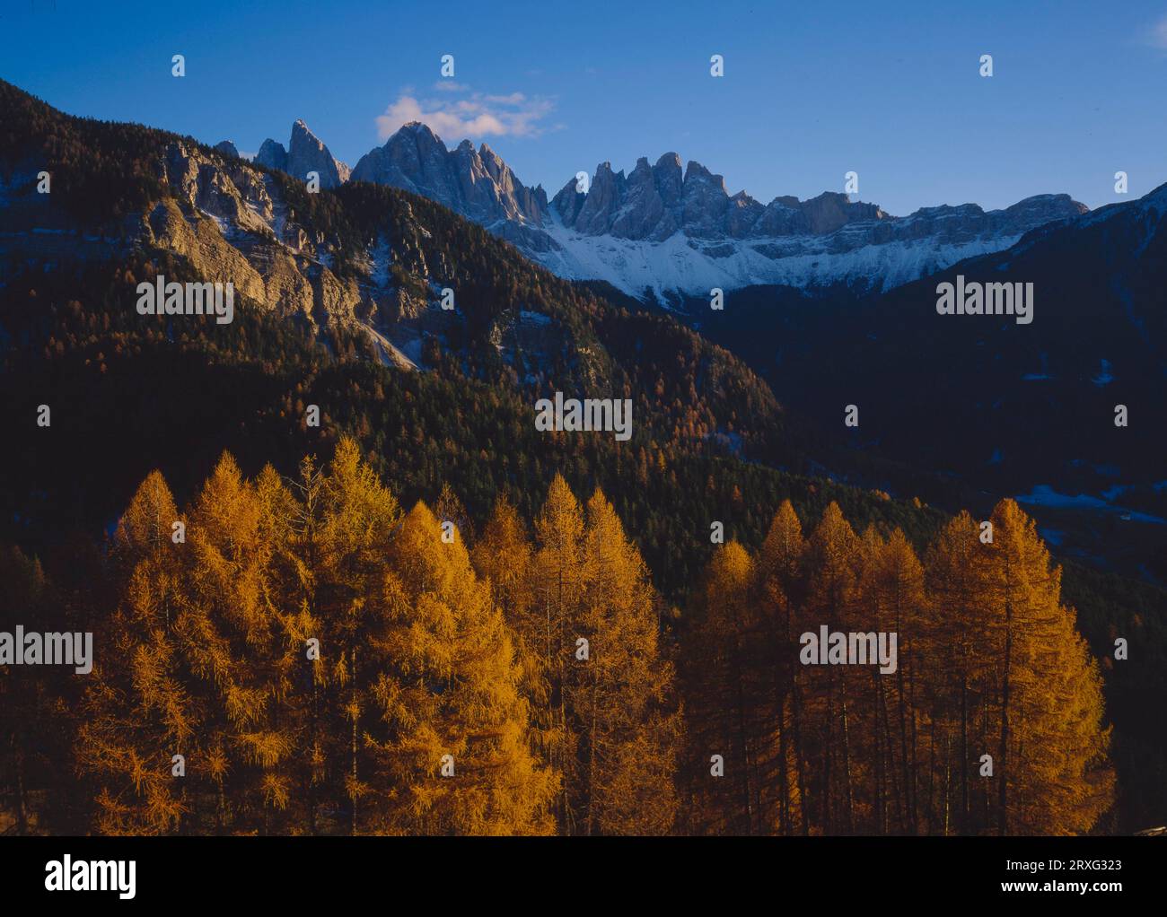 Autumn in the Villnoesstal with look to the Geisler points and to the ...