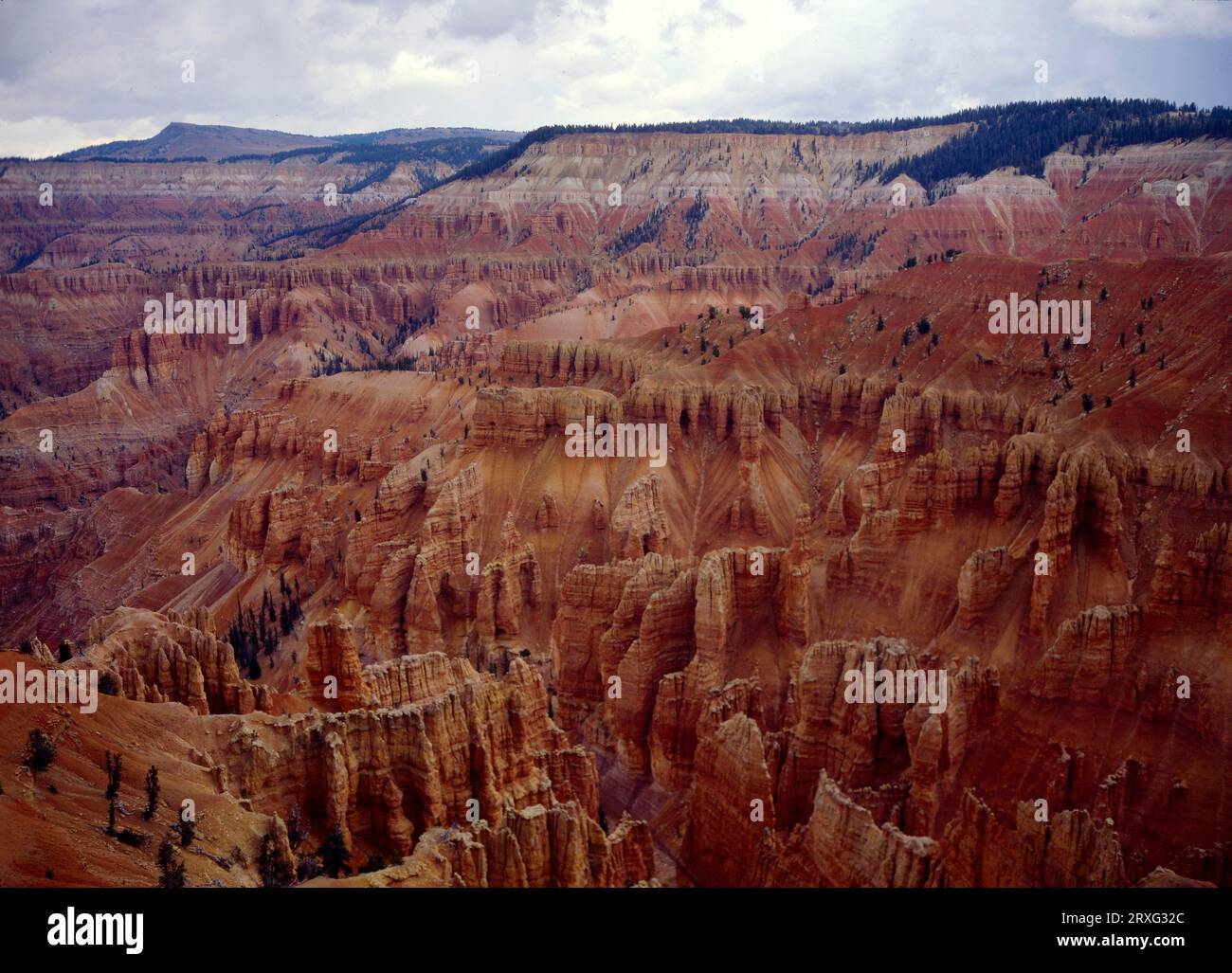 Look in the national park Cedar Break National Monument. Cedar Breaks ...