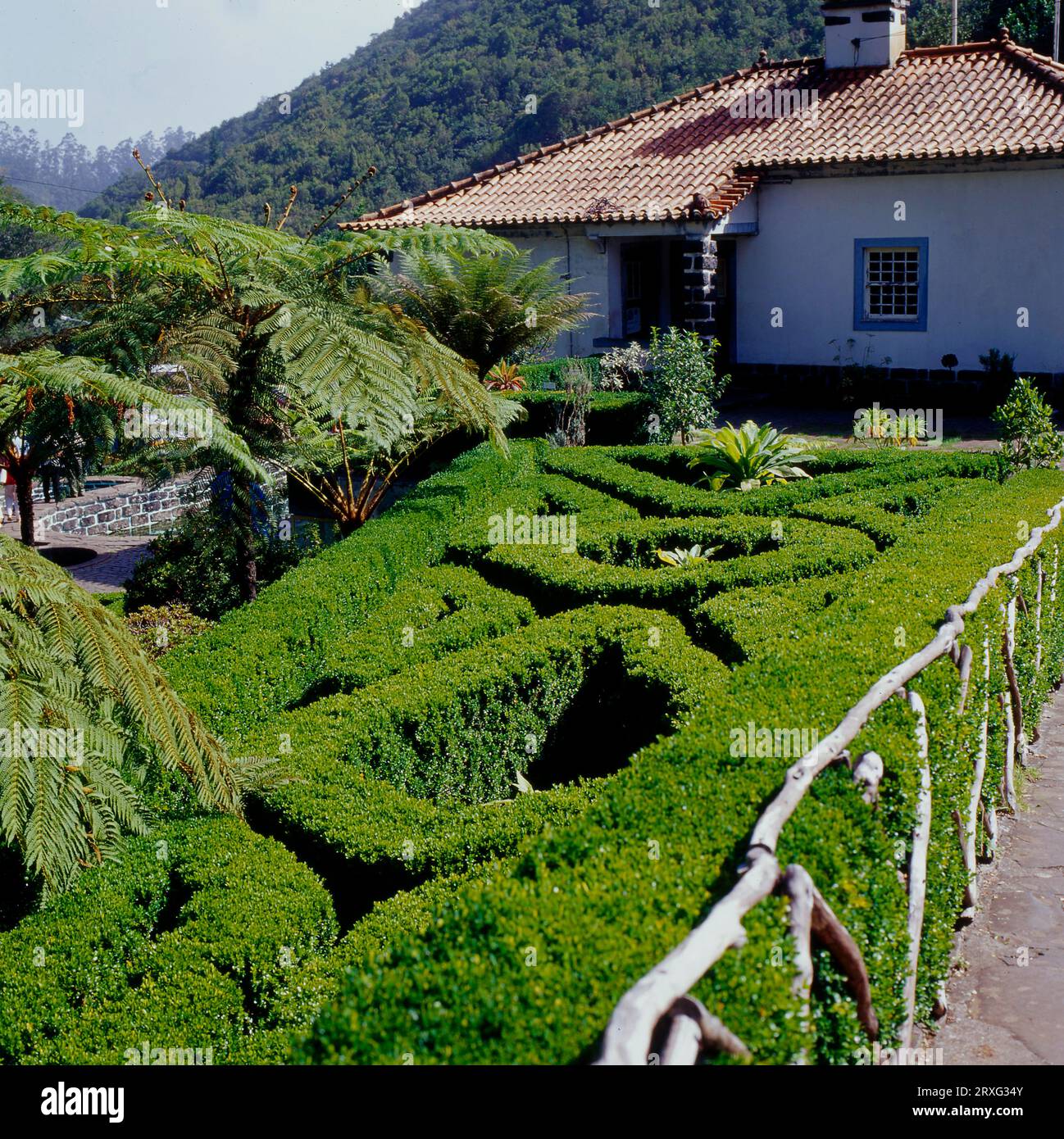 Trout farm in ribeiro frio hi-res stock photography and images - Alamy