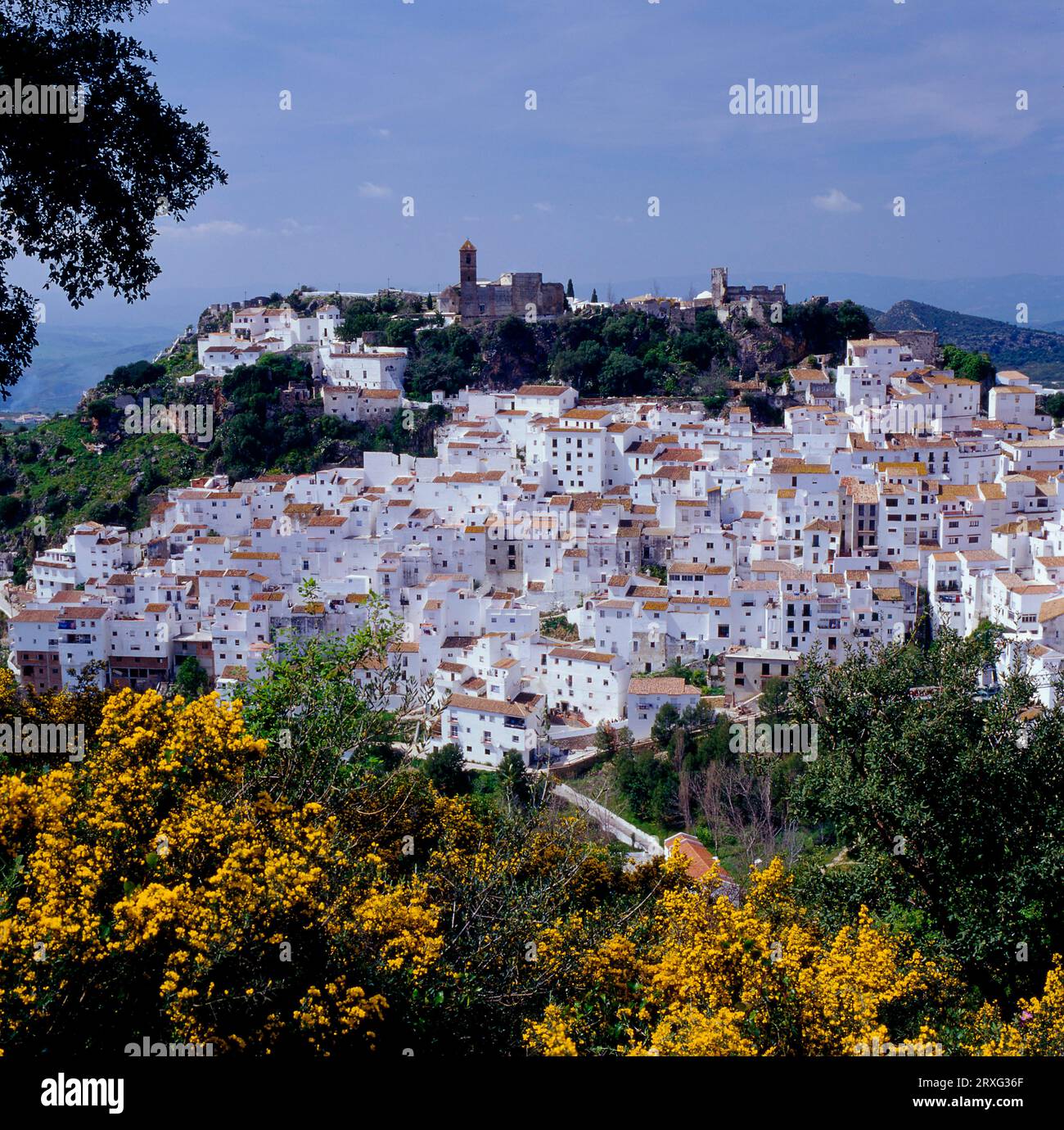 Casares, the most famous of the white villages, in the H. of Estepona ...