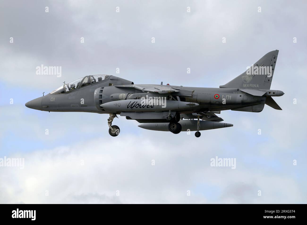 Two seat harrier hi-res stock photography and images - Alamy
