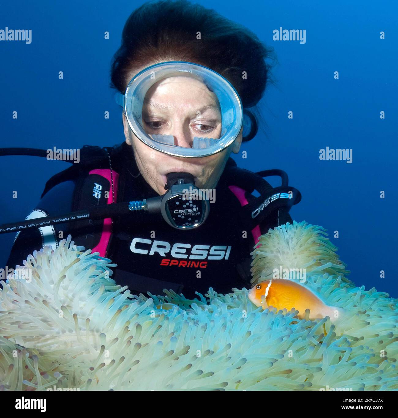 Pink diver hi-res stock photography and images - Alamy