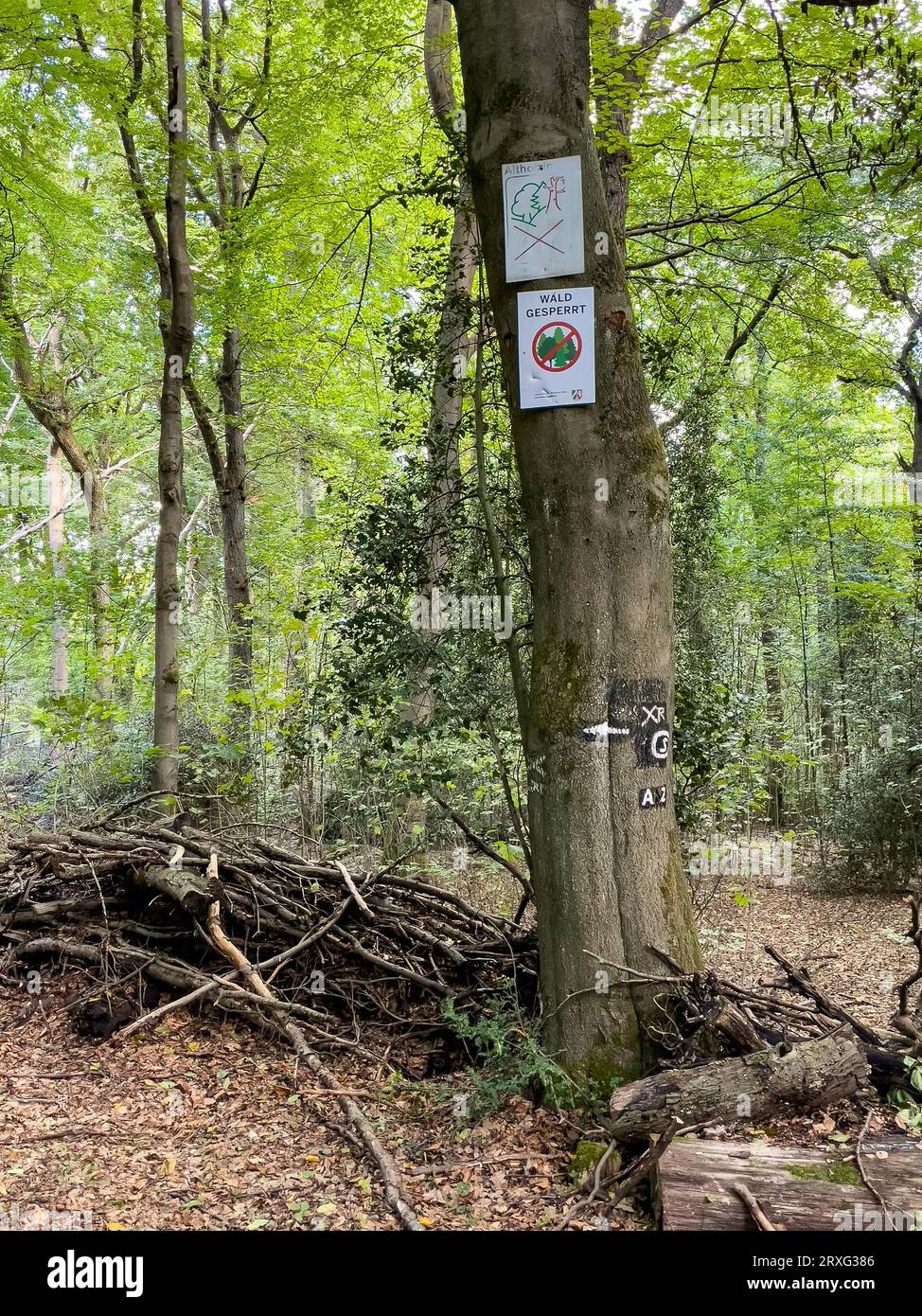 Prohibition sign Warning sign Forest closed No trespassing Old-growth ...