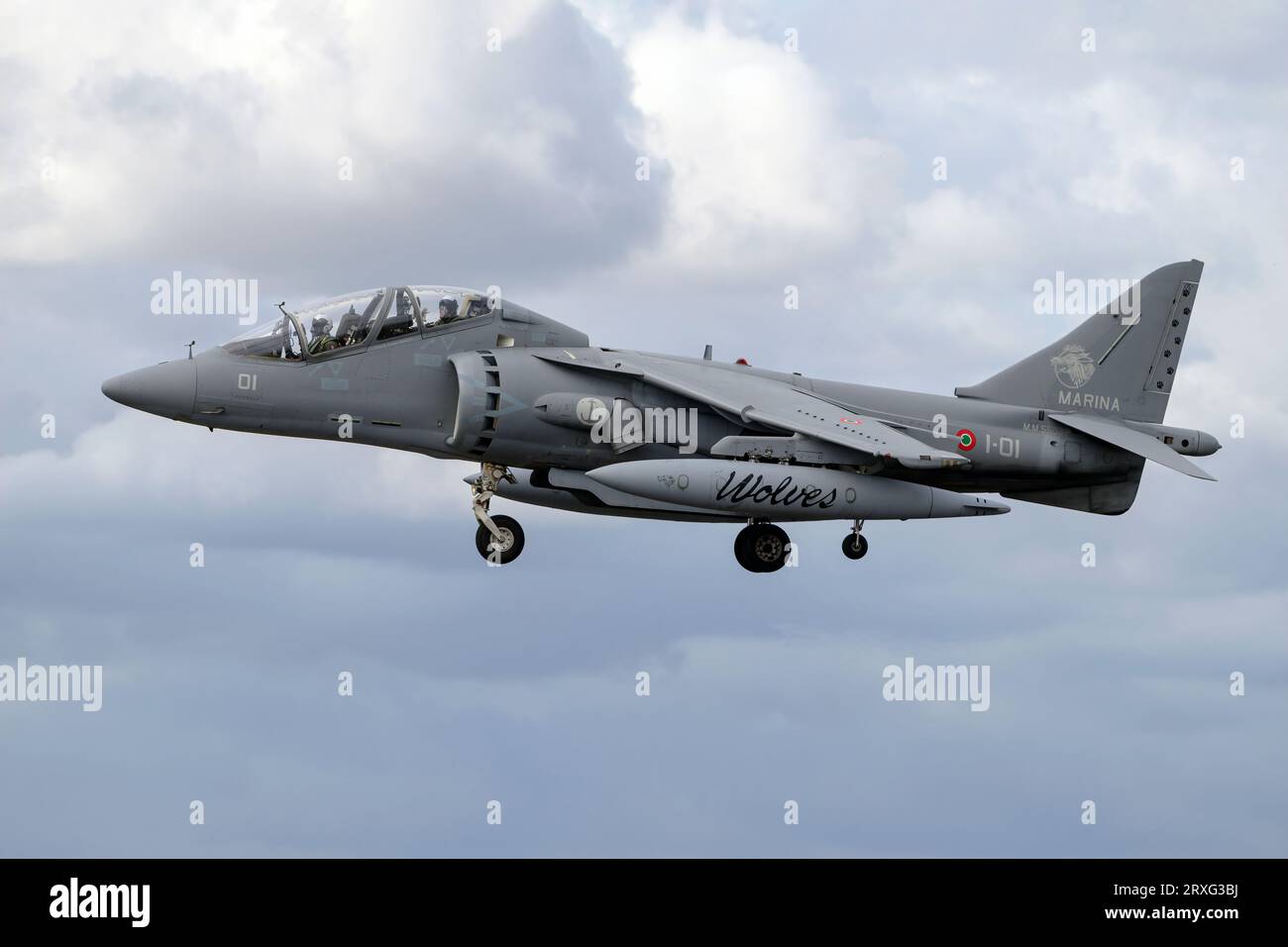 Two seat harrier hi-res stock photography and images - Alamy