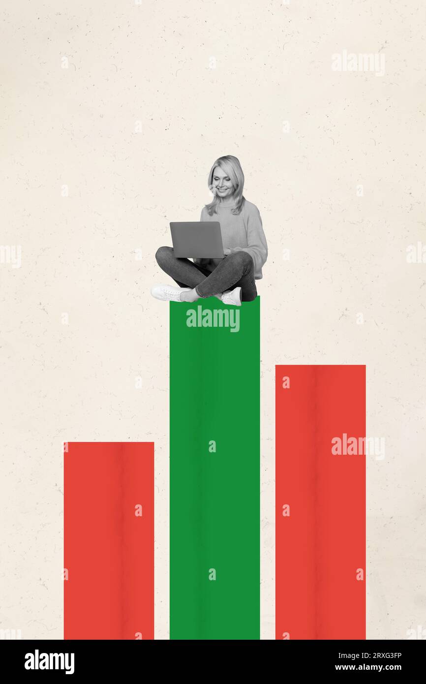 Vertical collage image of successful hardworking lady working ...