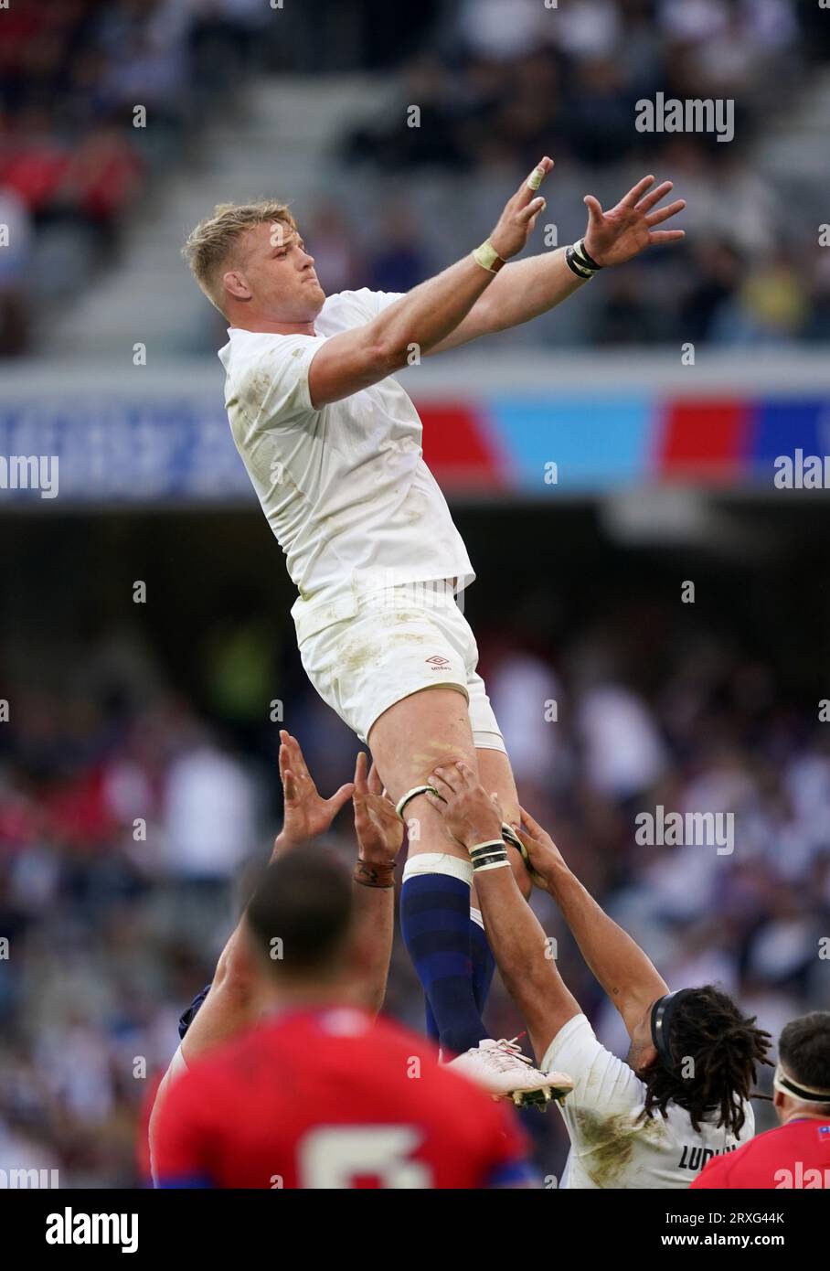 David ribbans 2023 hi-res stock photography and images - Alamy