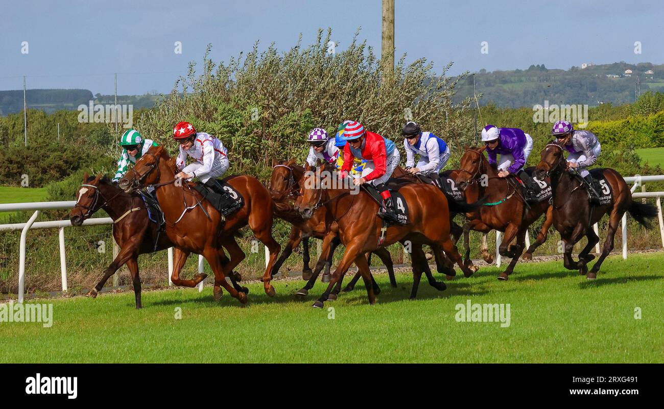 Molson coors down royal hi-res stock photography and images - Alamy