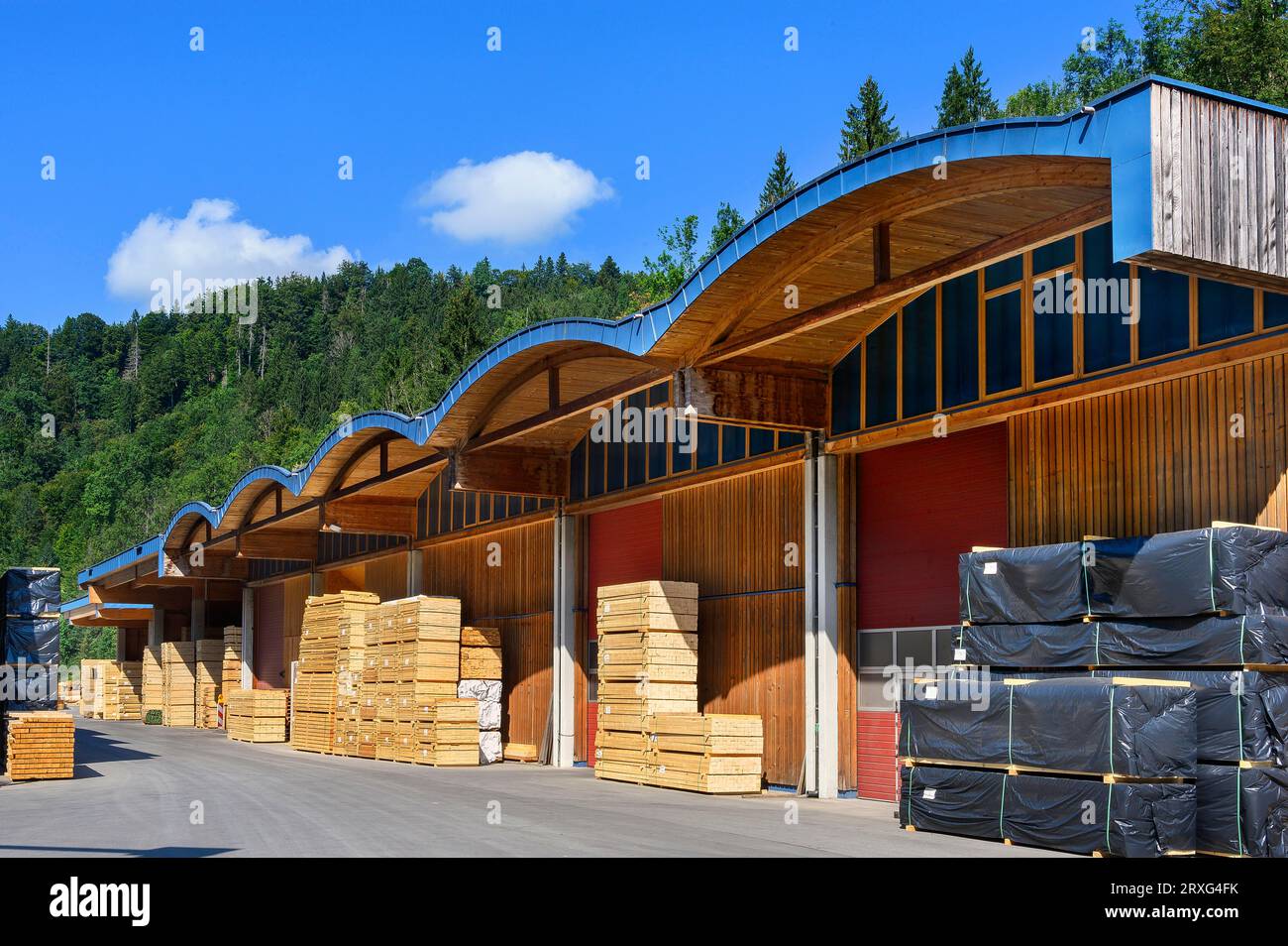 Large warehouse with stacks of beams in a sawmill, Allgaeu, Bavaria ...