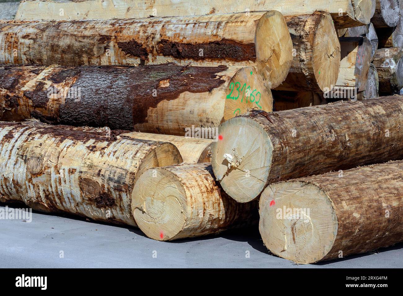 Partially debarked tree trunks gstacked in a sawmill, Allgaeu, Bavaria ...