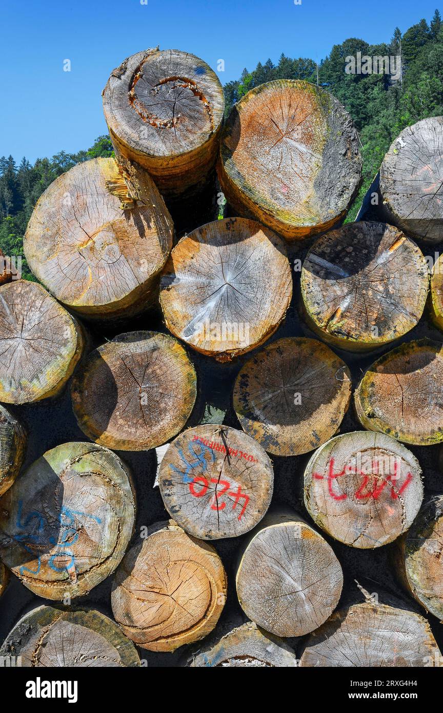 Stacked Baom logs in a sawmill, Allgaeu, Bavaria, Germany Stock Photo ...