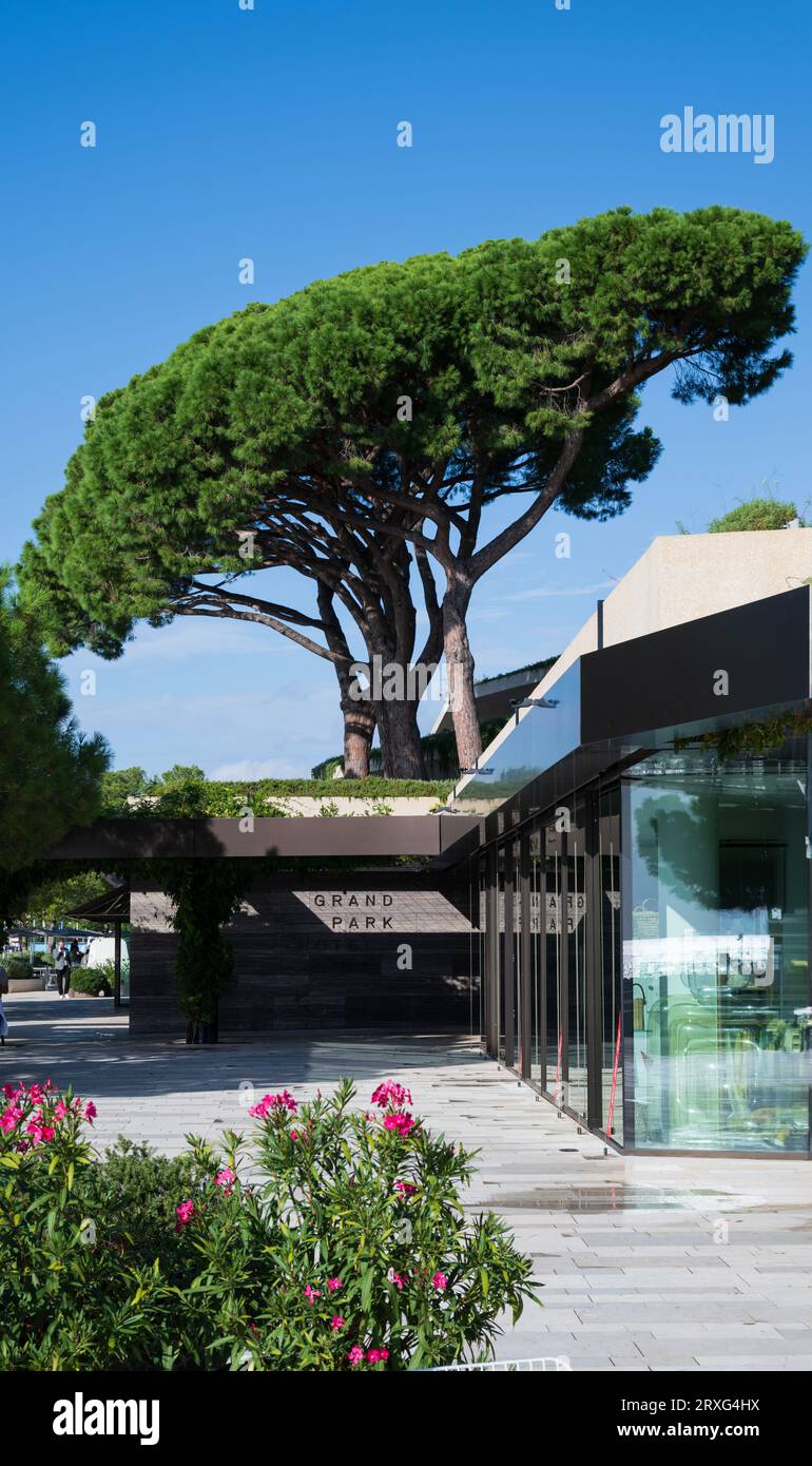 Lone bay rovinj hi-res stock photography and images - Alamy