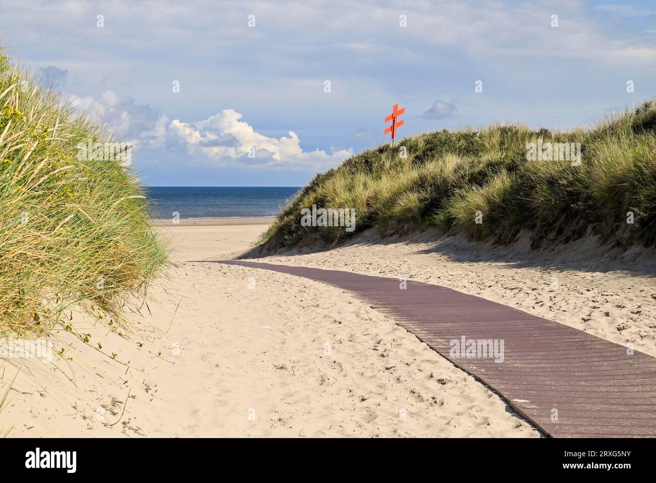 Beach tussock walk through the dunes, Juist, East Frisian Island, East ...