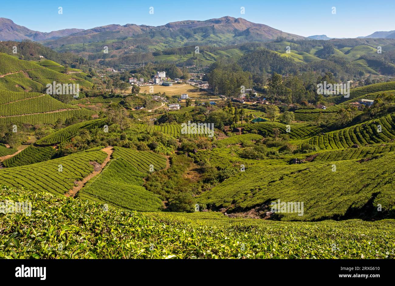 Munnar town hi-res stock photography and images - Alamy