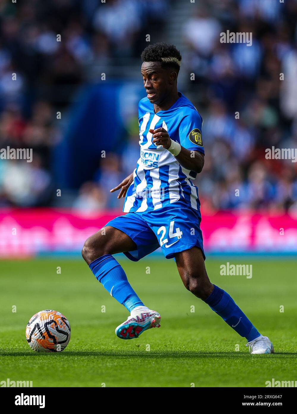 Brighton and Hove Albion's Simon Adingra in action during the Premier ...