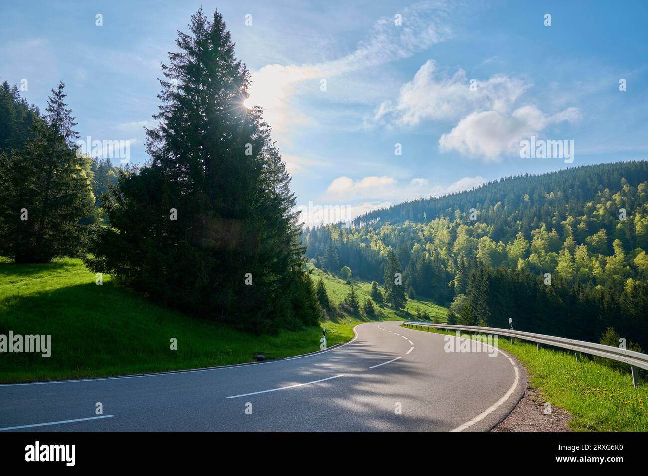 Country road, low mountain landscape, fir tree, mixed forest, sun ...