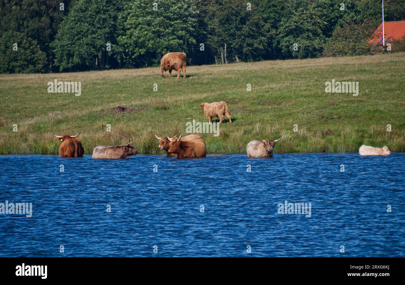 Domestic cooling hi-res stock photography and images - Alamy