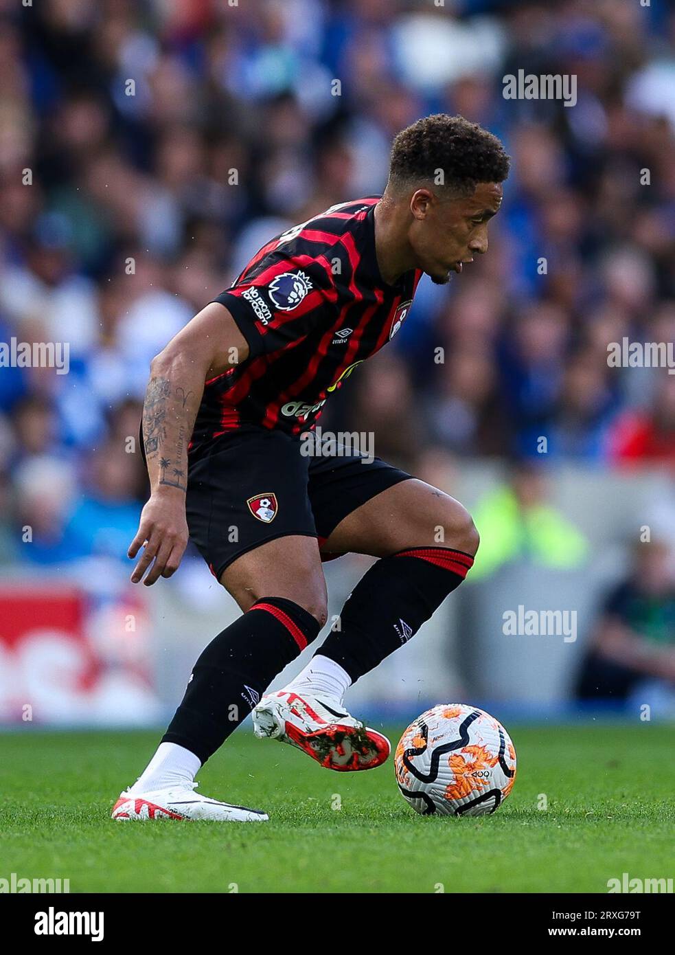 Bournemouth's Marcus Tavernier in action during the Premier League ...
