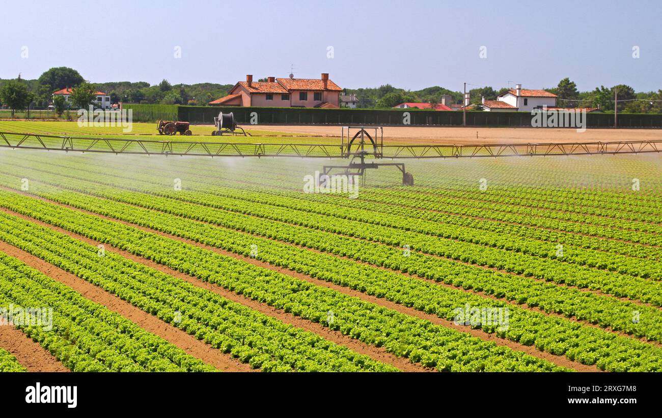 Green Agriculture Field With Moving Water Irrigation System Stock Photo ...