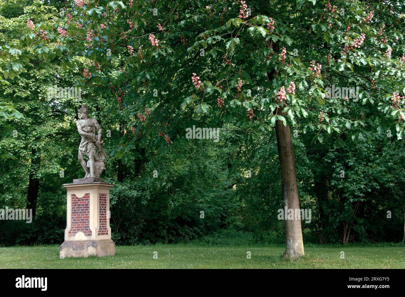 Statue and blooming Red Horse Chestnut (Aesculus x carnea), castle ...