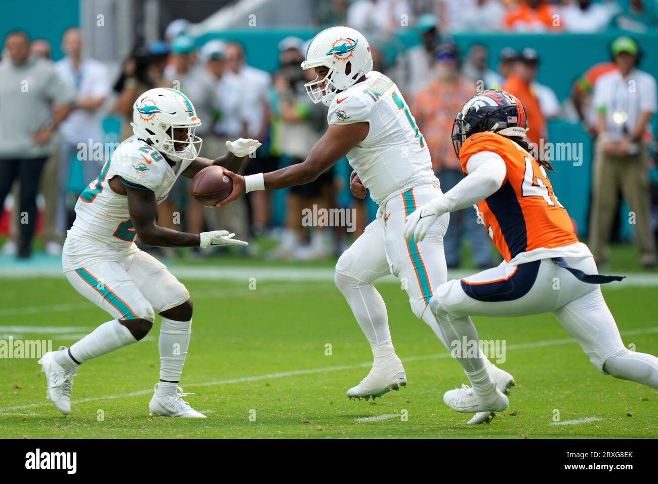 Miami Dolphins quarterback Tua Tagovailoa (1) hands off to running back De'Von Achane (28) as ...