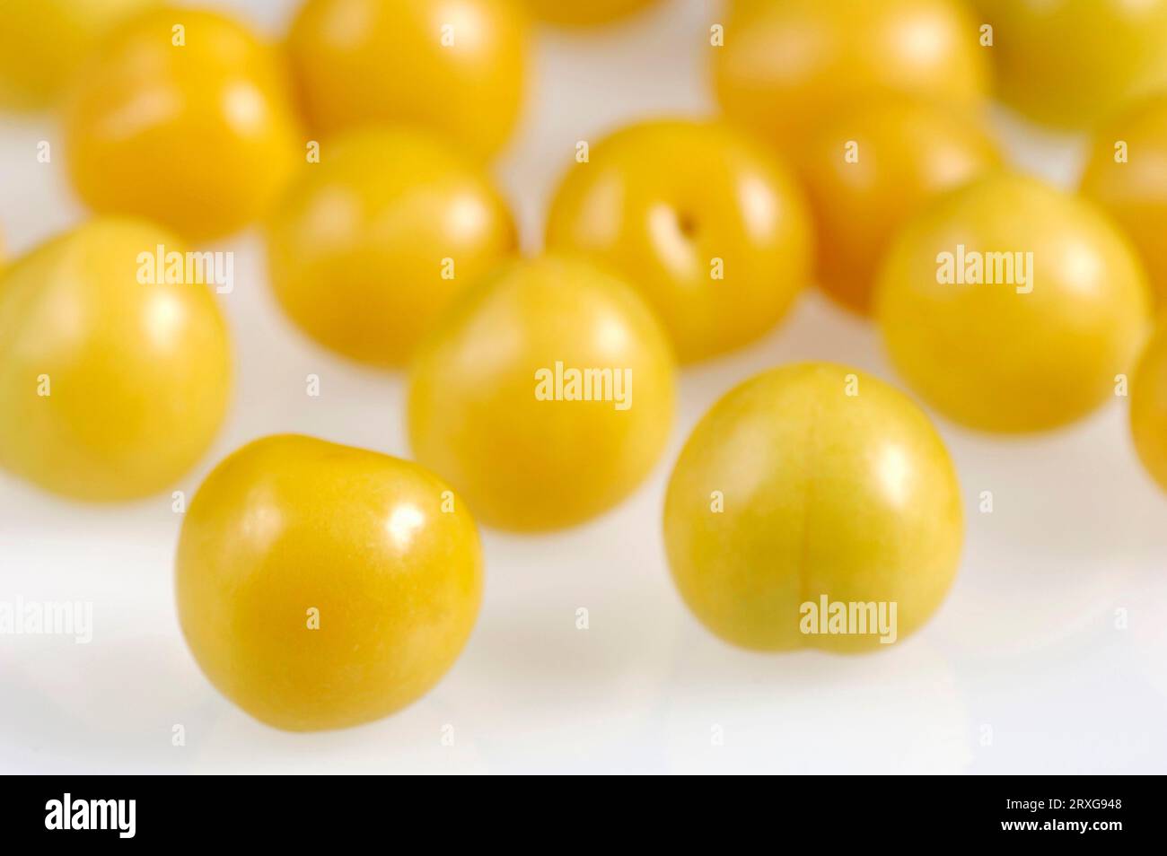 Yellow plums (Prunus domestica var. syriaca Stock Photo - Alamy