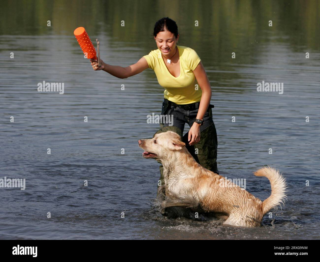 Animal training jump hi-res stock photography and images - Alamy