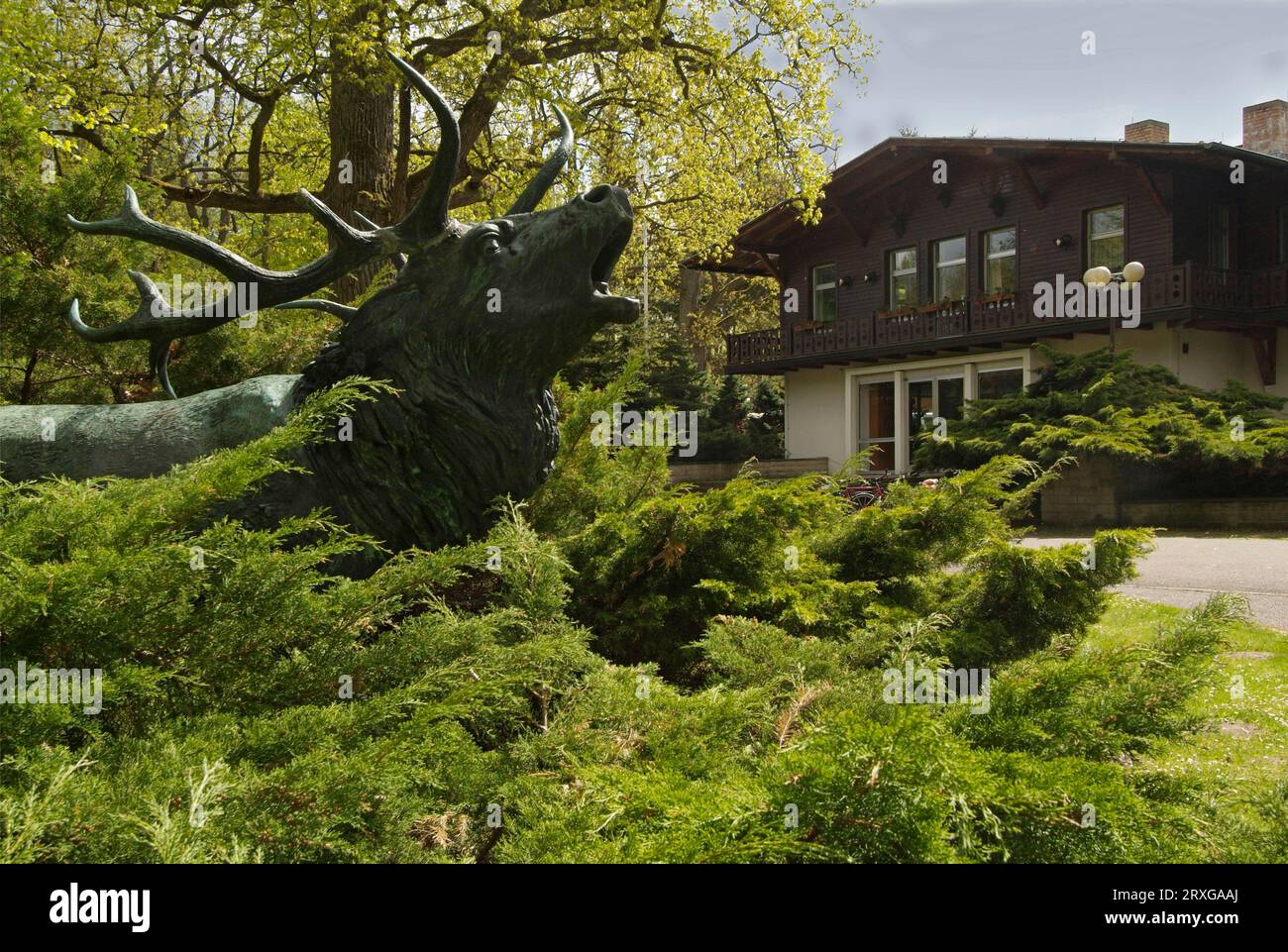 Statue of the red deer at Hubertusstock Castle, Schorfheide-Chorin ...