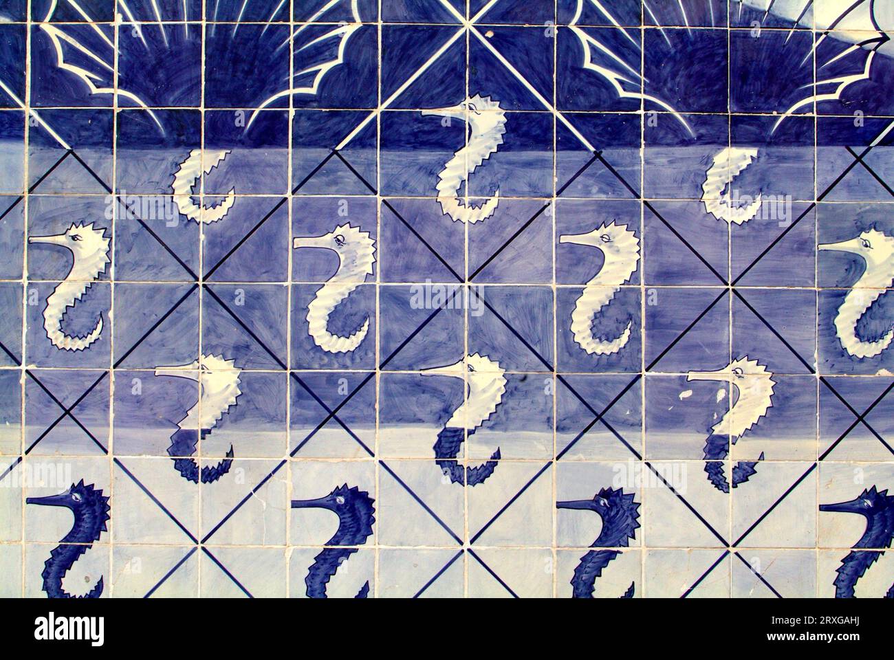 Janairo hi-res stock photography and images - Alamy