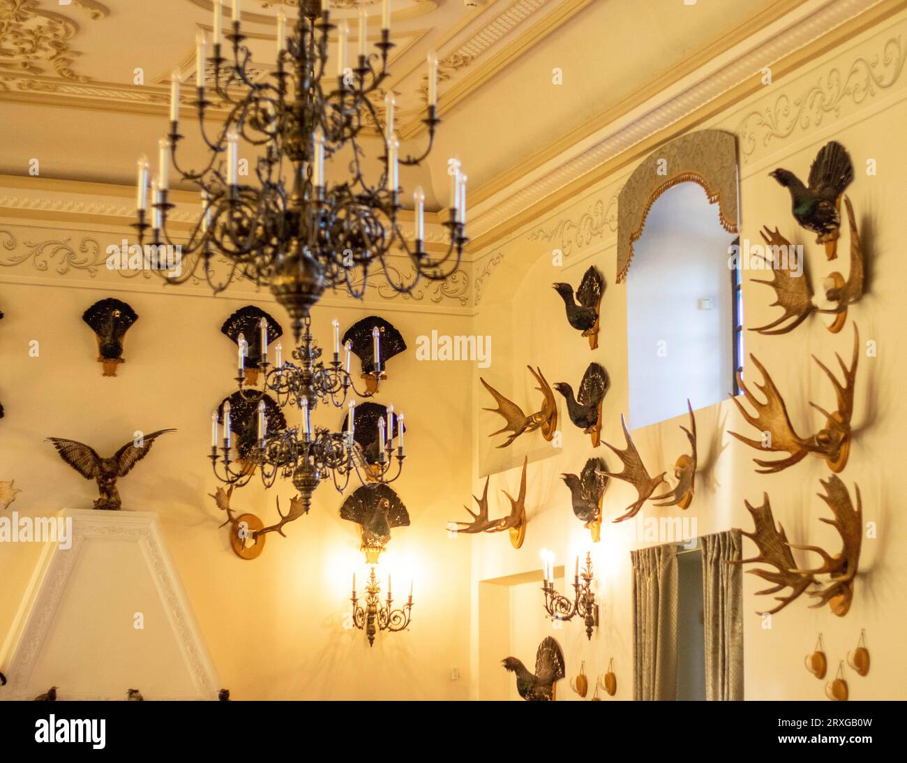 Trophy room wall hi-res stock photography and images - Alamy