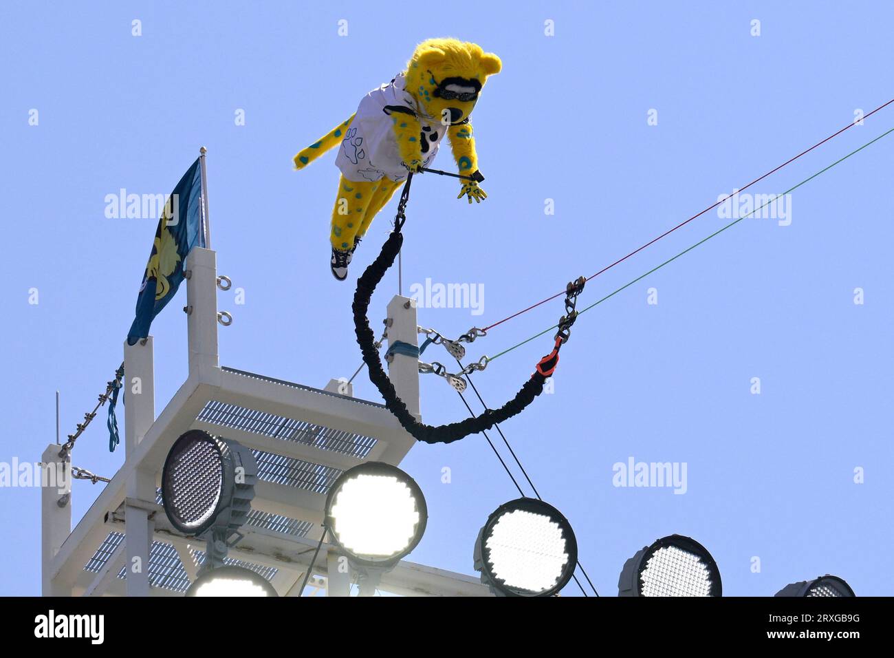 Jacksonville Jaguars mascot Jaxson de Ville performs a bungee stunt ...