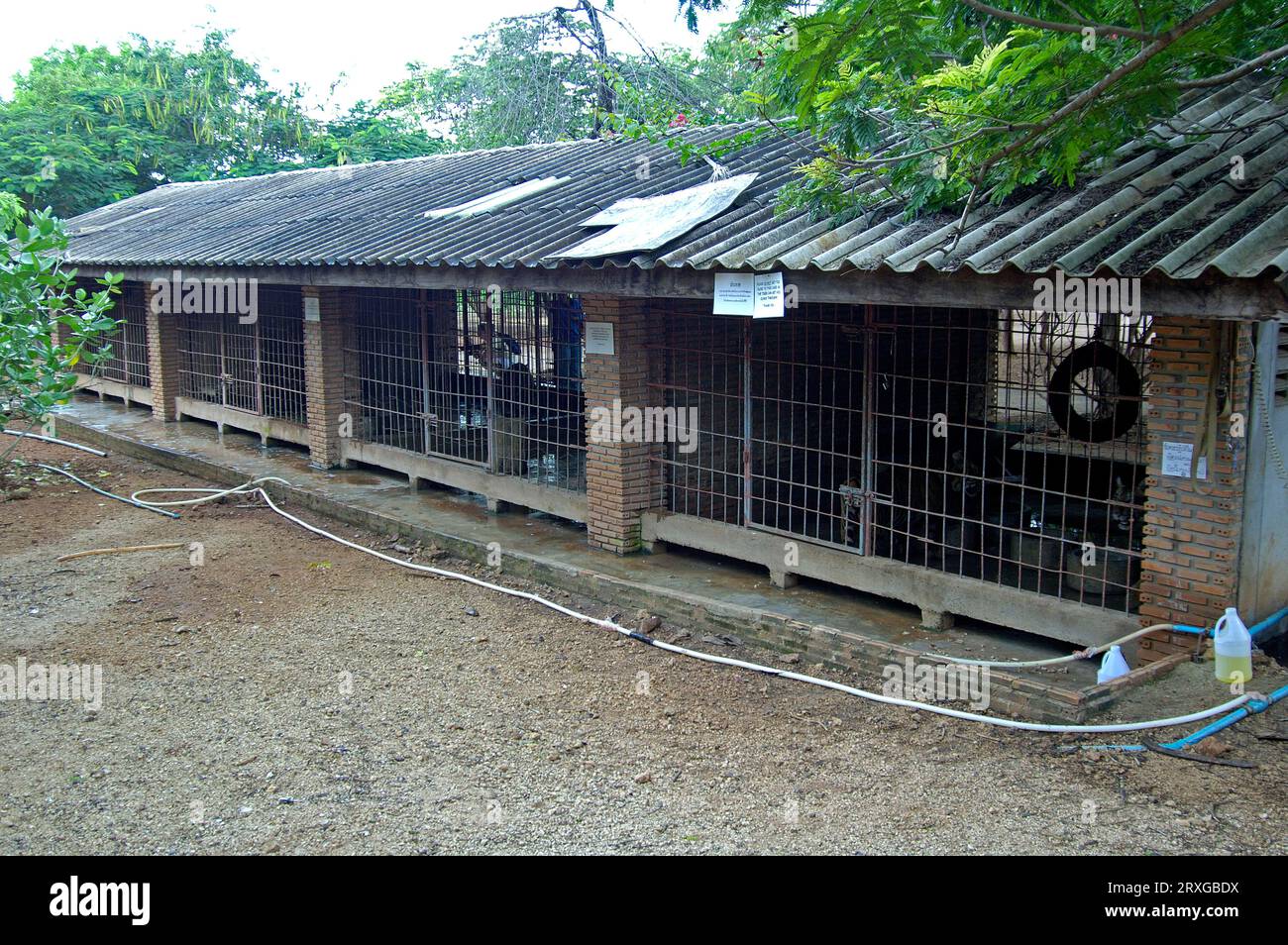 Tiger cages hi-res stock photography and images - Alamy