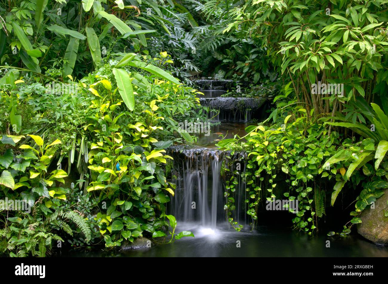Waterfall in rain forest, Phuket, Thailand, Waterfall in rain forest ...