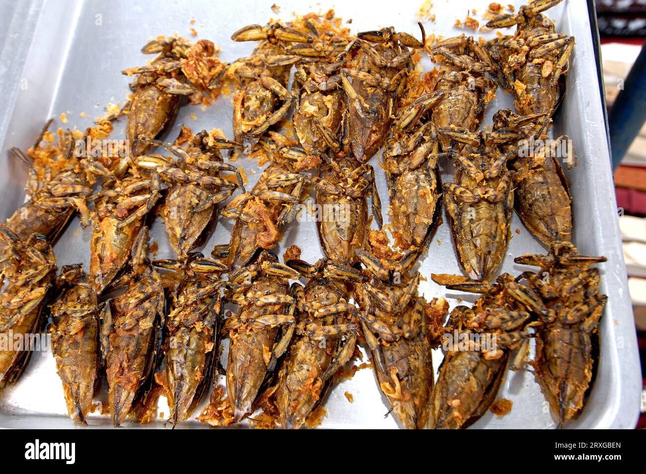 Deep-fried bugs, Chatuchak Market, Bangkok, Thailand, Deep-fried bugs ...