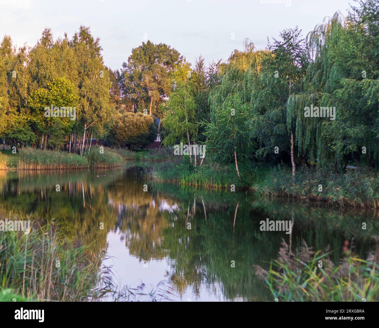 Landscape shot of the beautiful park Stock Photo - Alamy