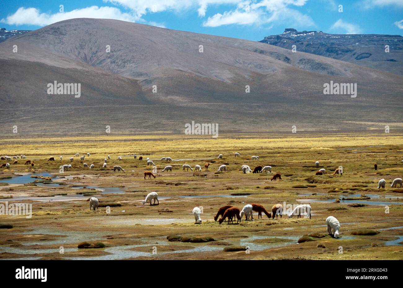 Torja hi-res stock photography and images - Alamy