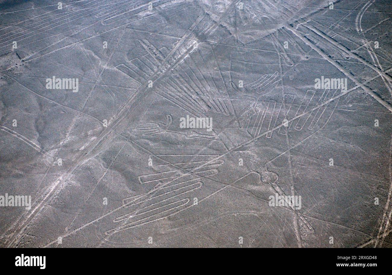 Geoglyphs of Nazca, 'Condor', ground drawing, 'Condor', Peru Stock ...