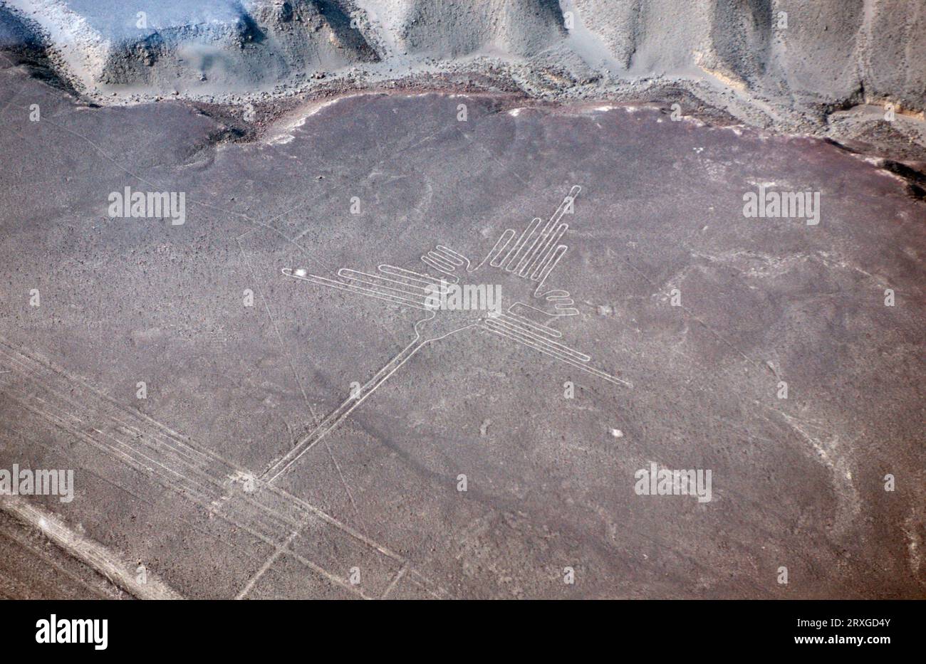 Nasca geoglyphs, hummingbird, ground drawing, Peru Stock Photo - Alamy