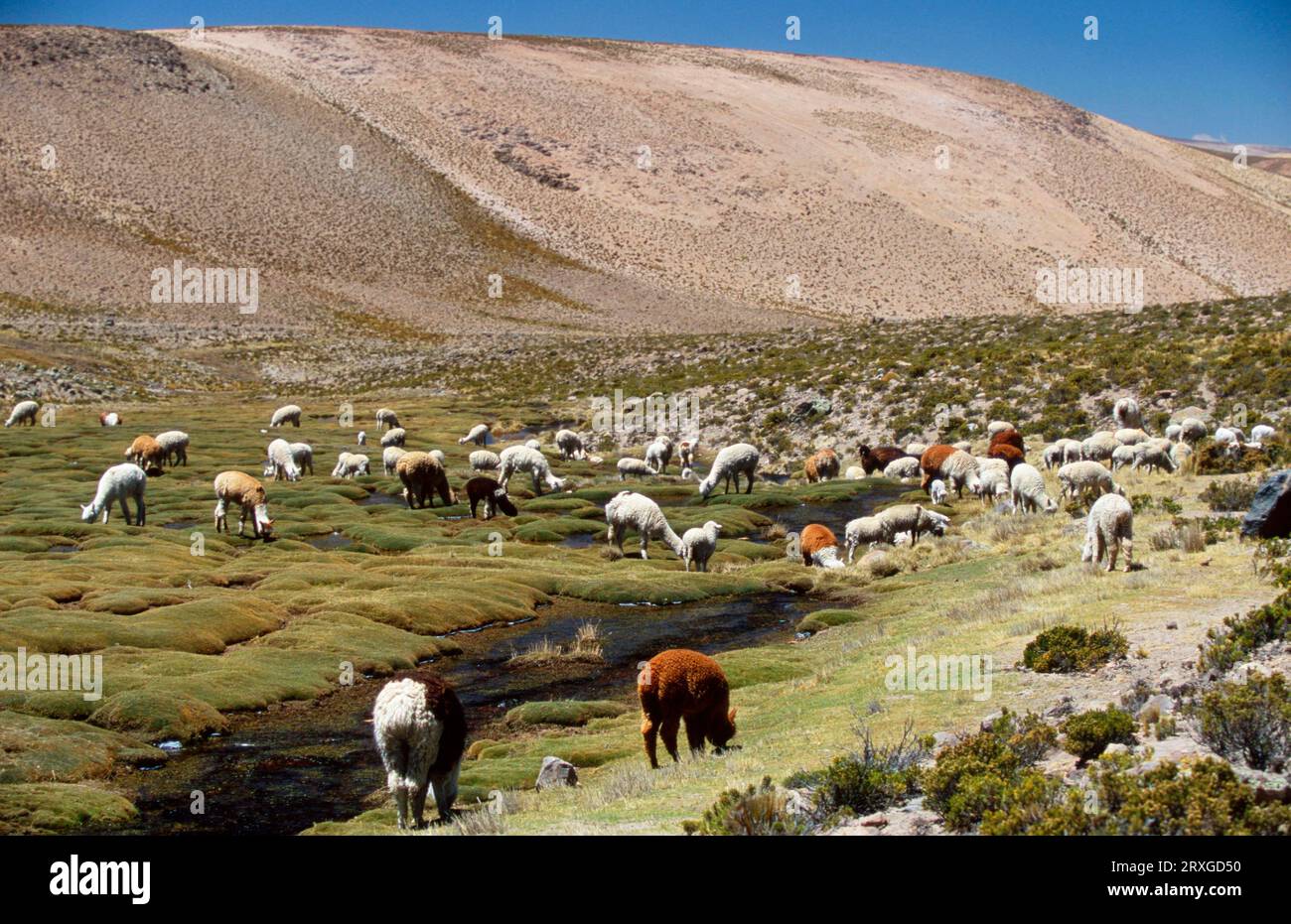 Torja hi-res stock photography and images - Alamy