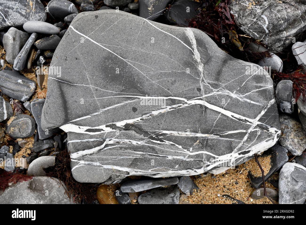 Limestone fragments with calcite veins. Saint Jean de luz, Aquitaine ...
