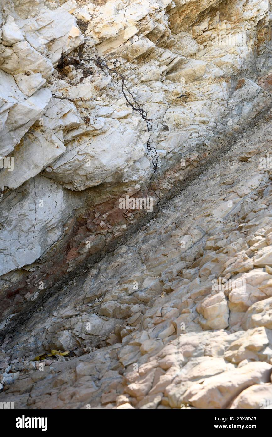 Iridium reach layer (dark). Cretaceous-Tertiary (K-T) extinction or ...