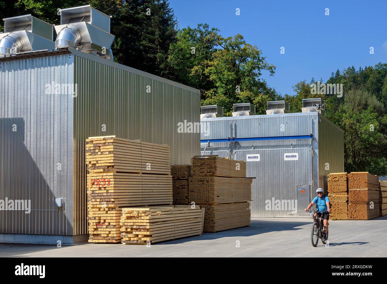 Stacks of wooden beams and boards in front of a timber drying plant in ...