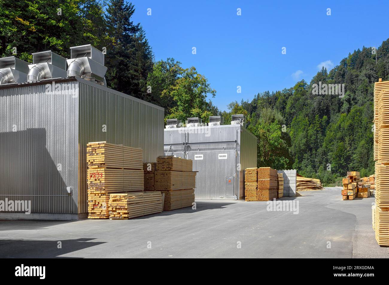 Stacks of wooden beams and boards in front of a timber drying plant in ...