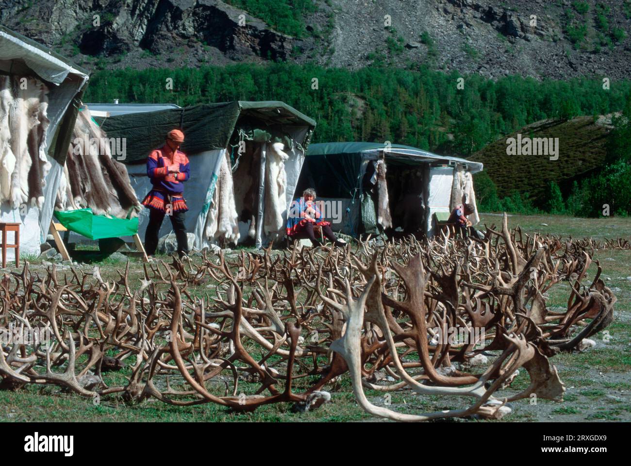 Reindeer antlers and tents, Varanger Peninsula, Sami, Sami, Lapps ...