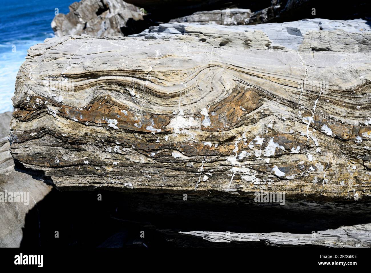 Flint layers and nodules in limestone. This photo was taken in Saint ...