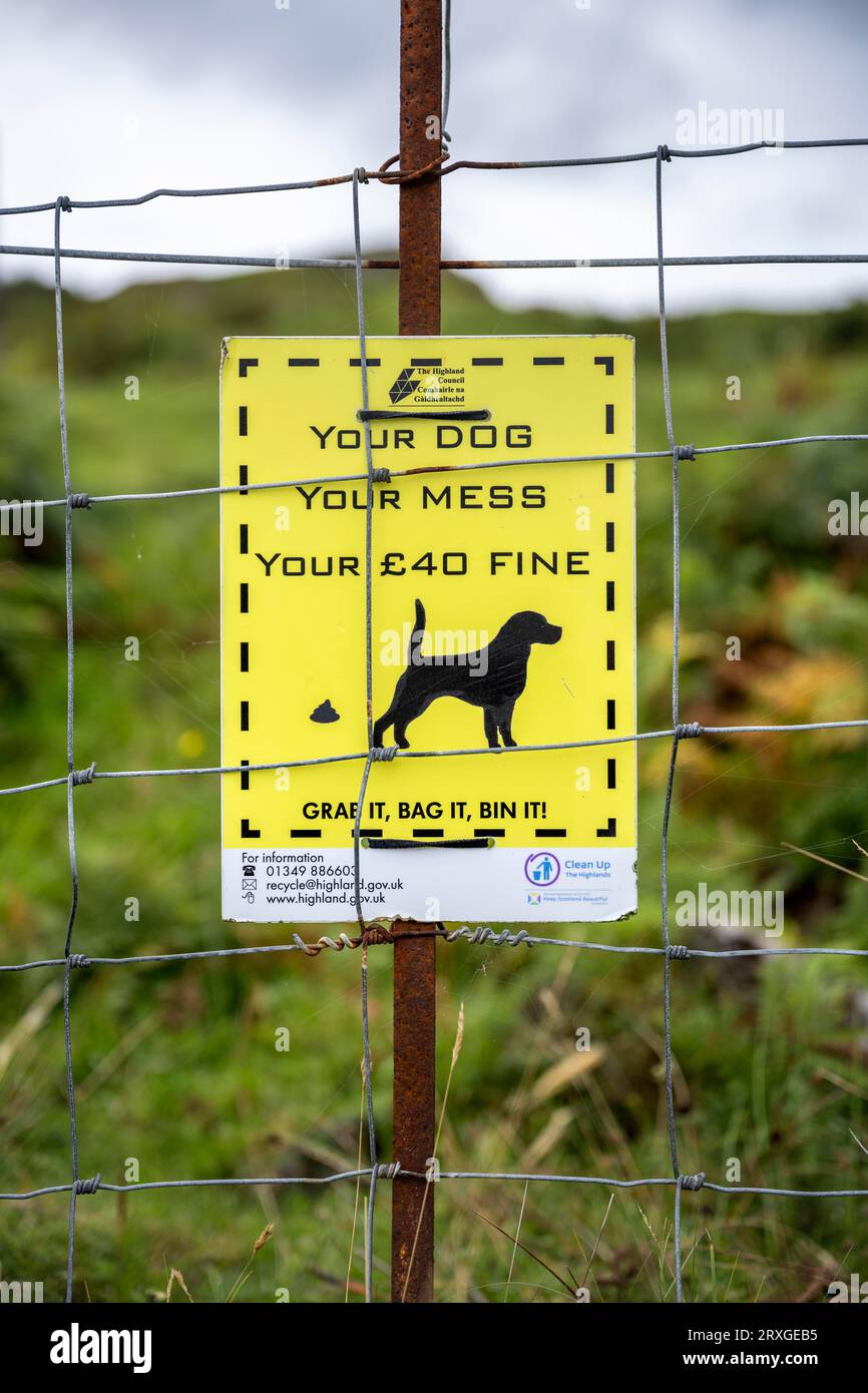 Sign with penalty for dog owners with pictogram and English language ...