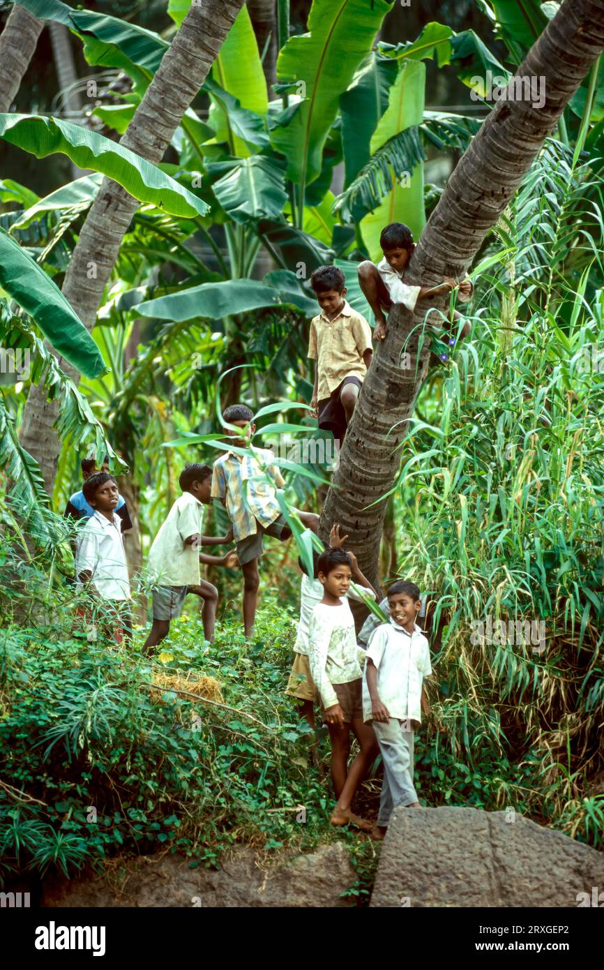 Boys enjoying their holidays standing near a river at Courtalam ...