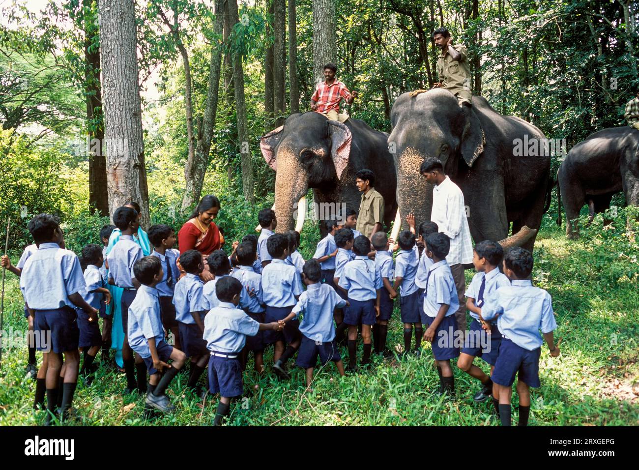 School students touching the elephant during Elephant day celebrations ...