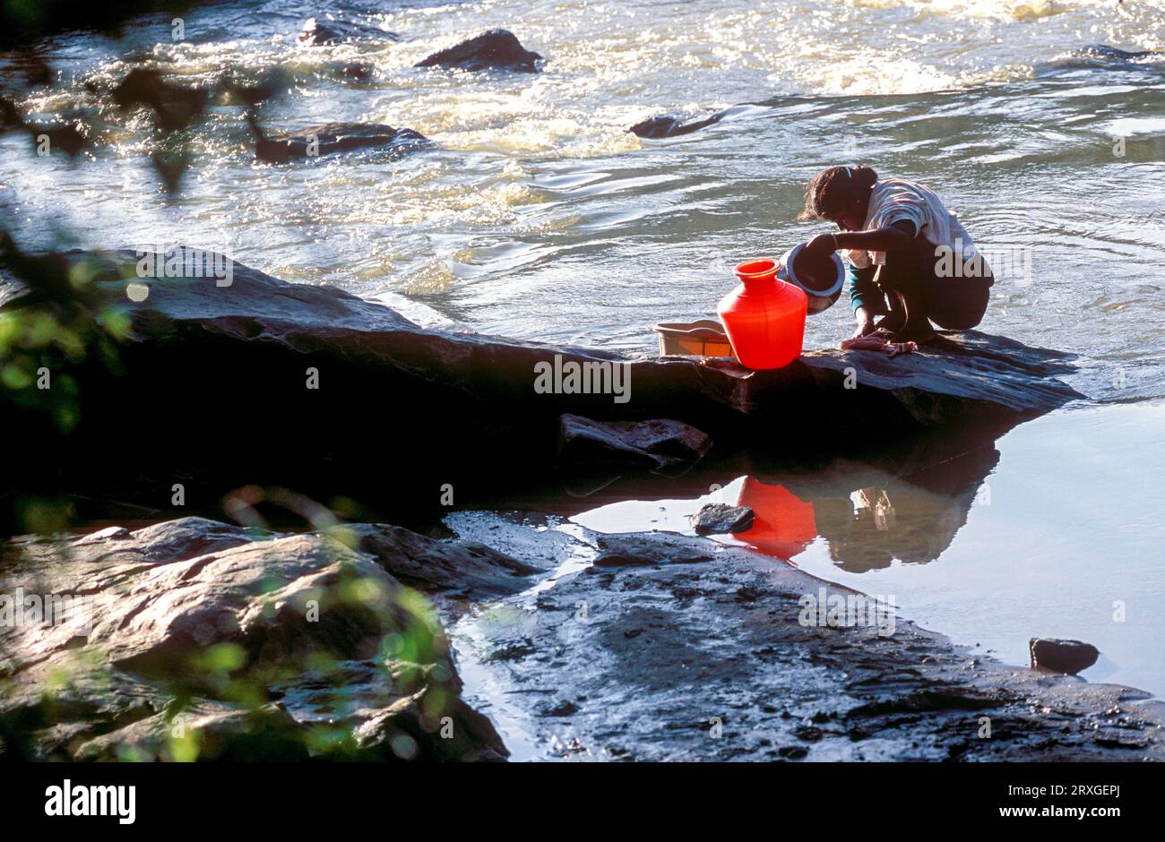 A tribal girl washing utensils at Moyar river in Mudumalai National ...