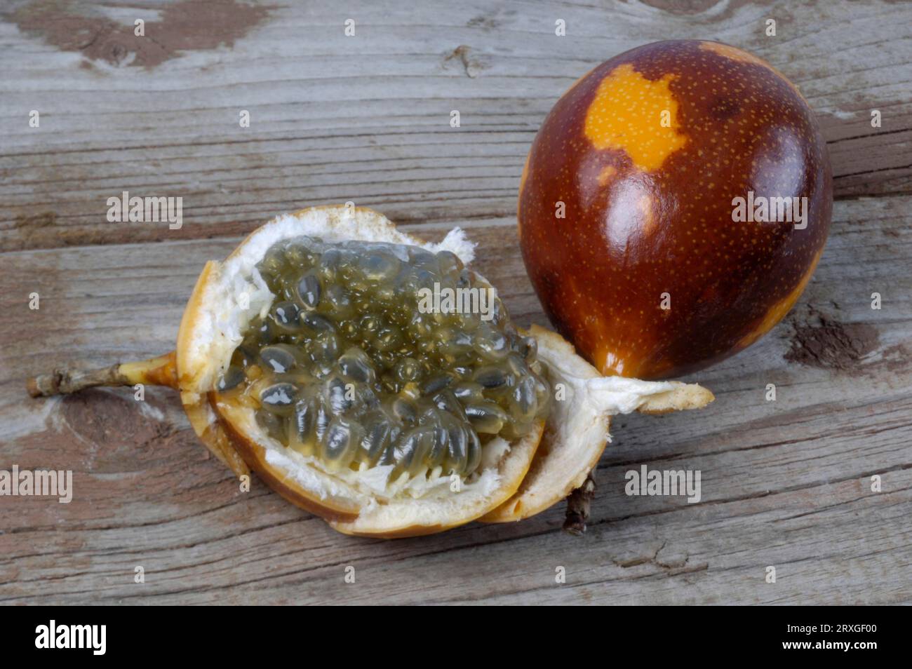 Sweet Granadilla (Passiflora ligularis) Sweet granadilla, Passion fruit ...